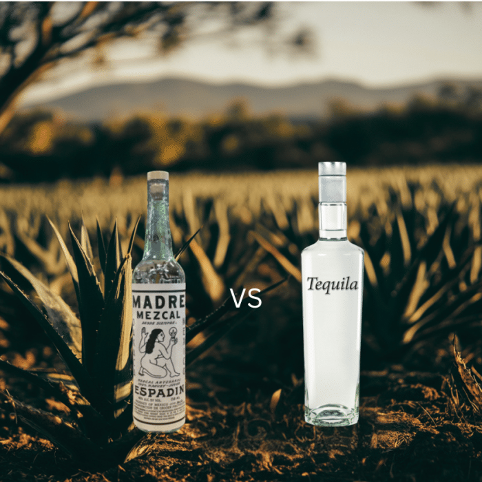 The Tequila Aging Process Explained: From Agave to Añejo - Gerardo Escobedo